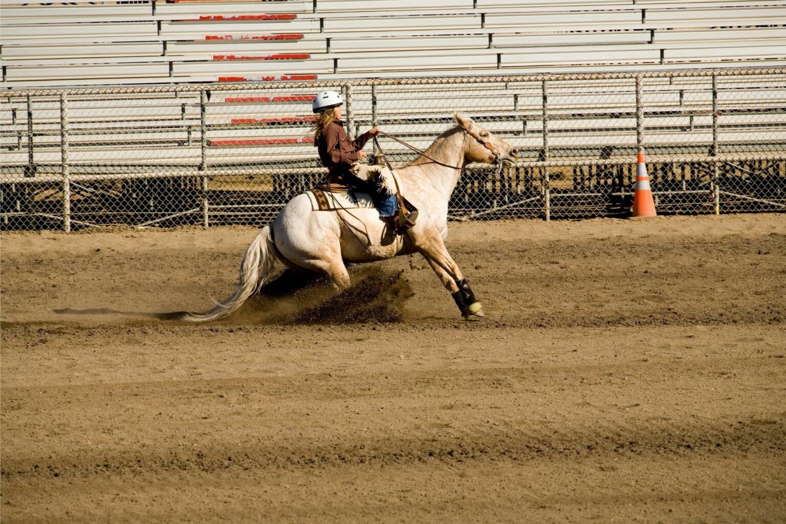 A Beginner's Guide to Reining (Tips, Maneuvers, etc.) - Horse Rookie