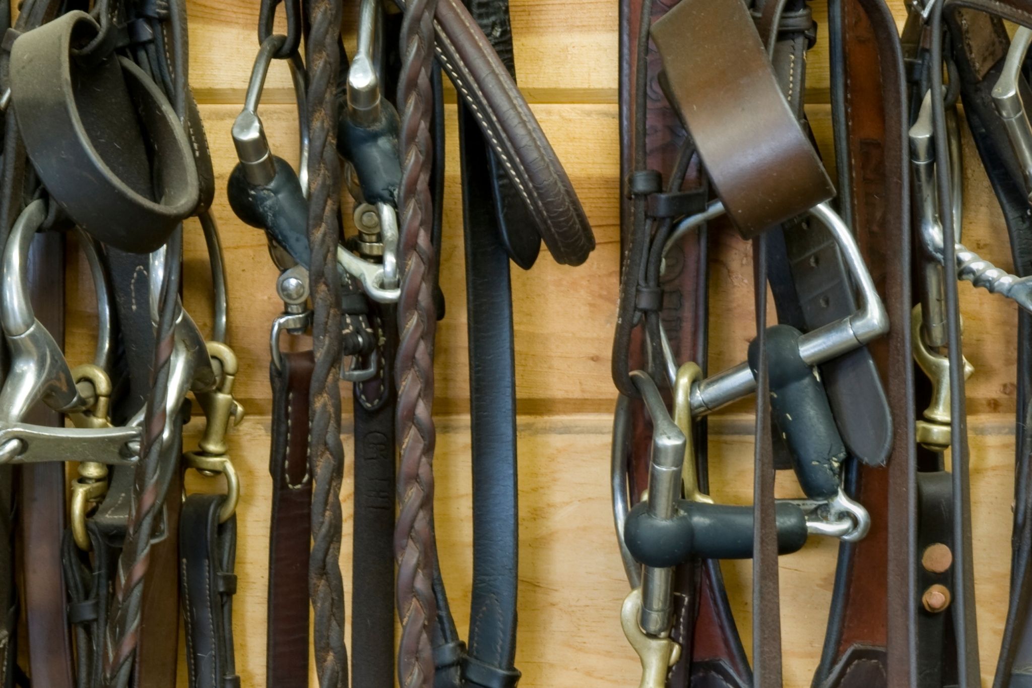 5 Soft Bits for Horses With a Sensitive Side - Horse Rookie