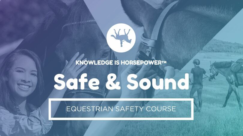 Horse Safety Rules You Can't Afford to Ignore - Horse Rookie