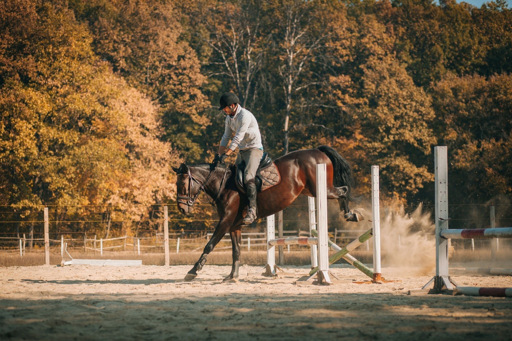 How to Set Up a Show Jump Course for Beginners - Horse Rookie