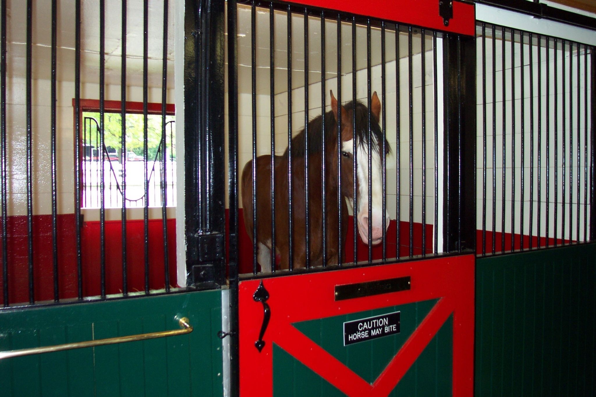 8 Bad Habits & Vices That Turn Dream Horses Into Nightmares - Horse Rookie
