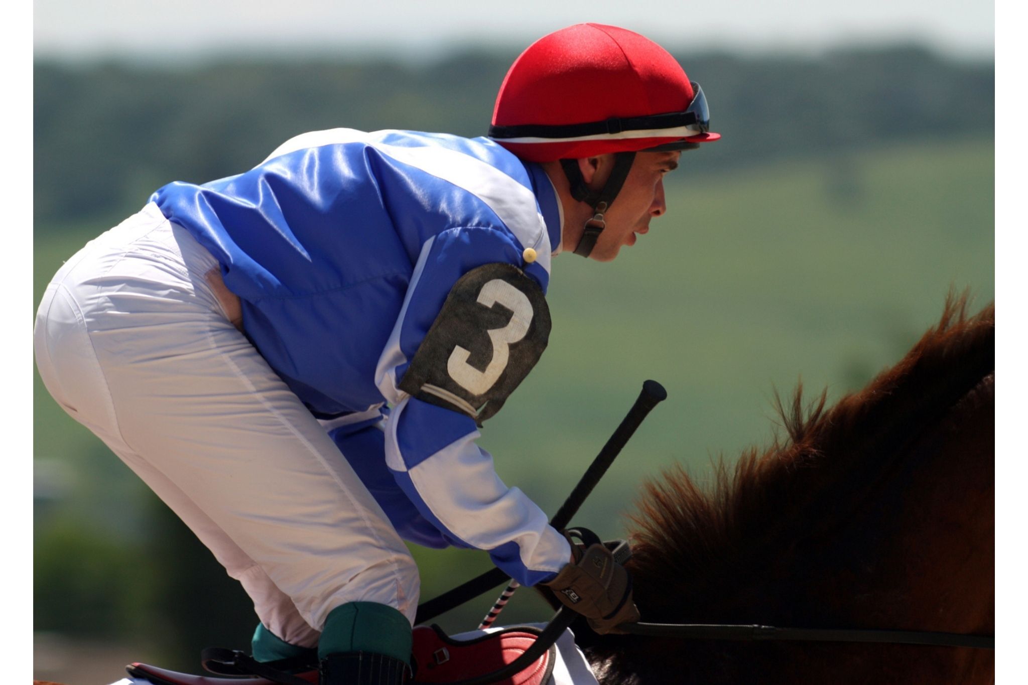 How Tall Are Horse Jockeys & Other Fun Facts - Horse Rookie