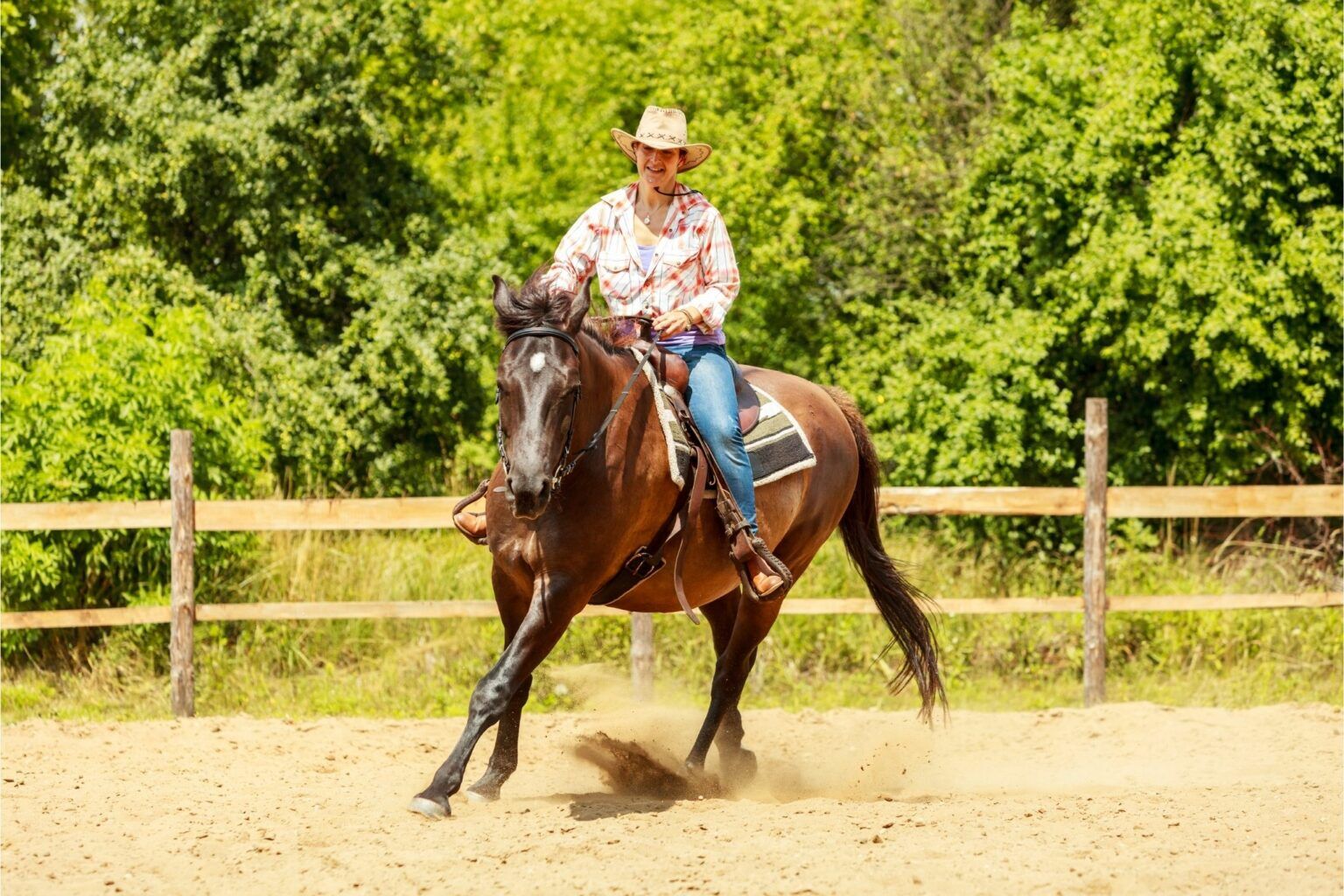 A Beginner's Guide to Reining (Tips, Maneuvers, etc.) - Horse Rookie