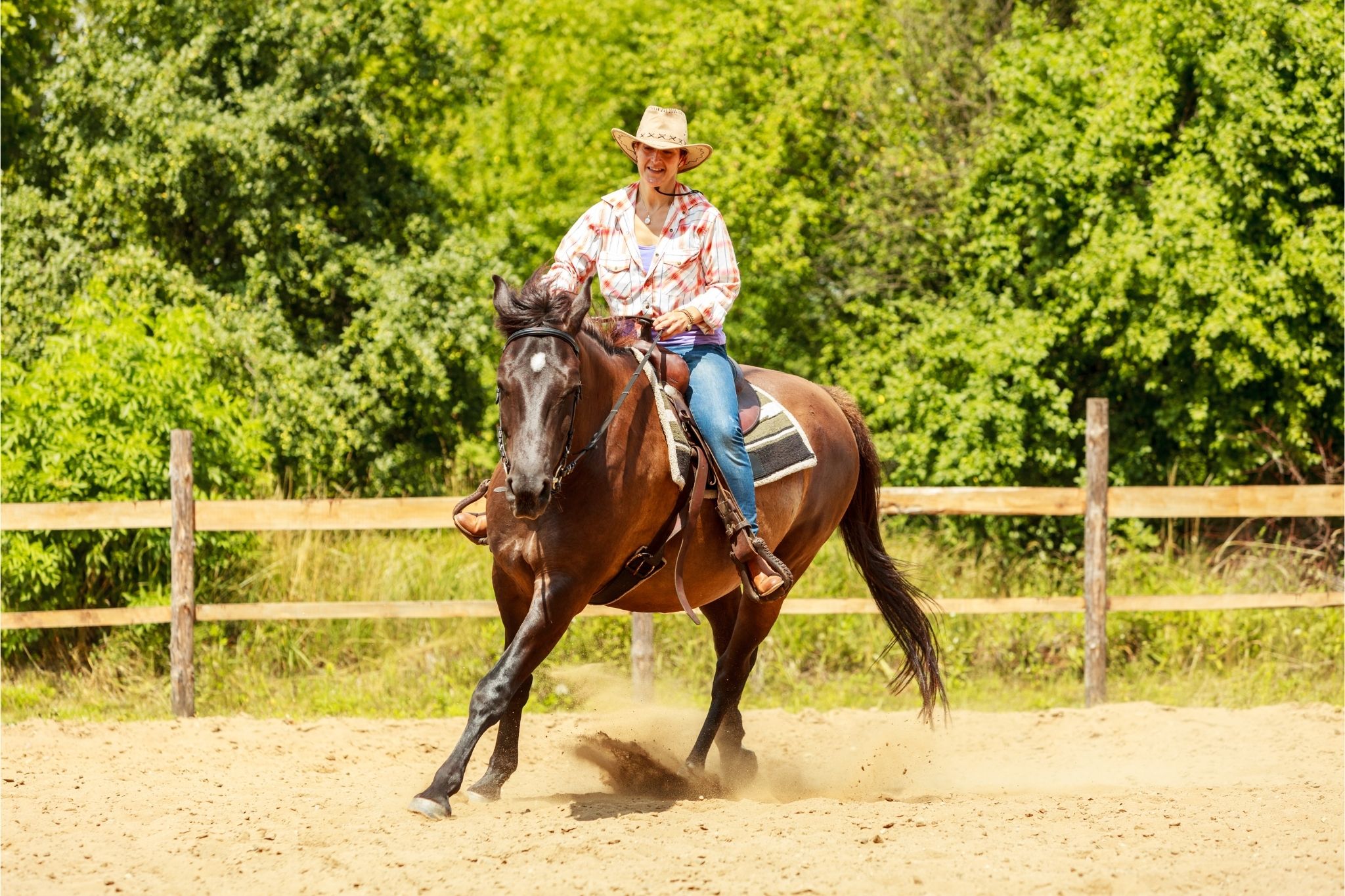 A Beginner's Guide to Reining (Tips, Maneuvers, etc.) - Horse Rookie