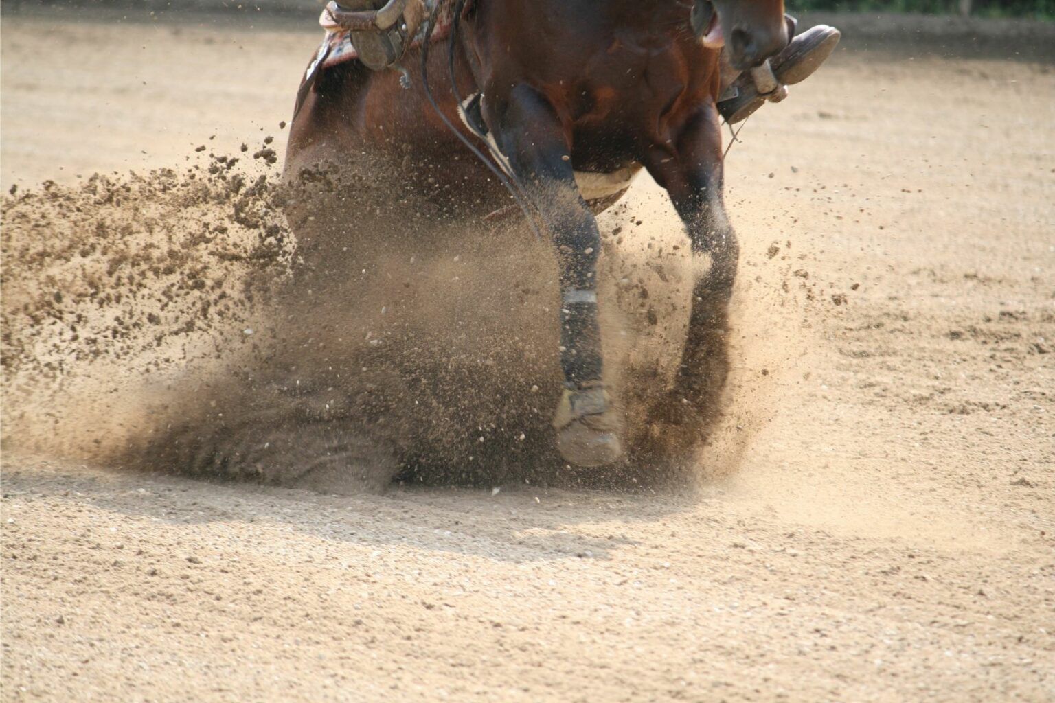 A Beginner's Guide to Reining (Tips, Maneuvers, etc.) - Horse Rookie