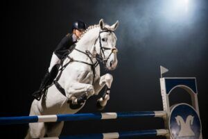 How to Set Up a Show Jump Course for Beginners - Horse Rookie