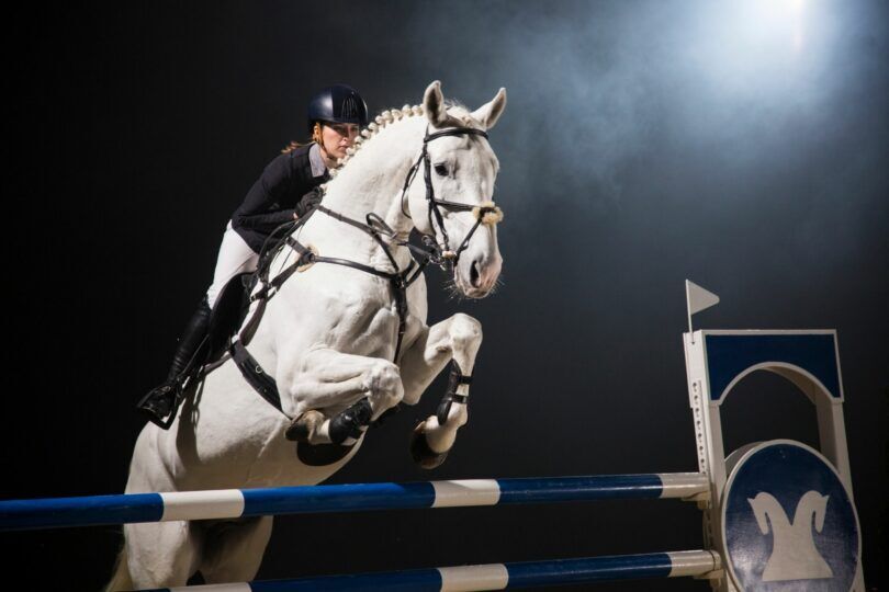 How to Set Up a Show Jump Course for Beginners - Horse Rookie