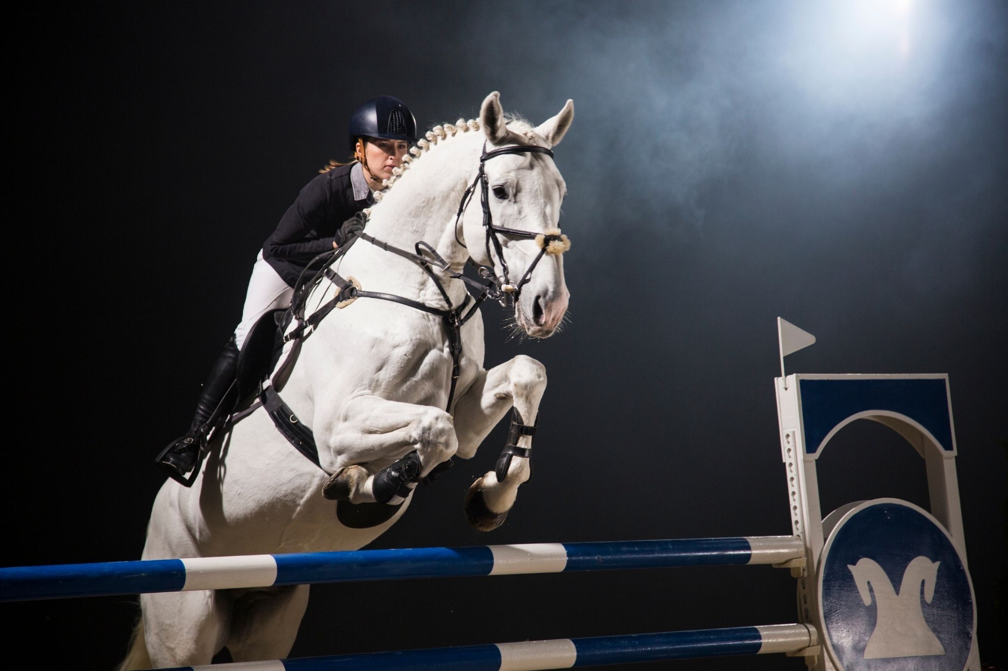 How to Set Up a Show Jump Course for Beginners - Horse Rookie