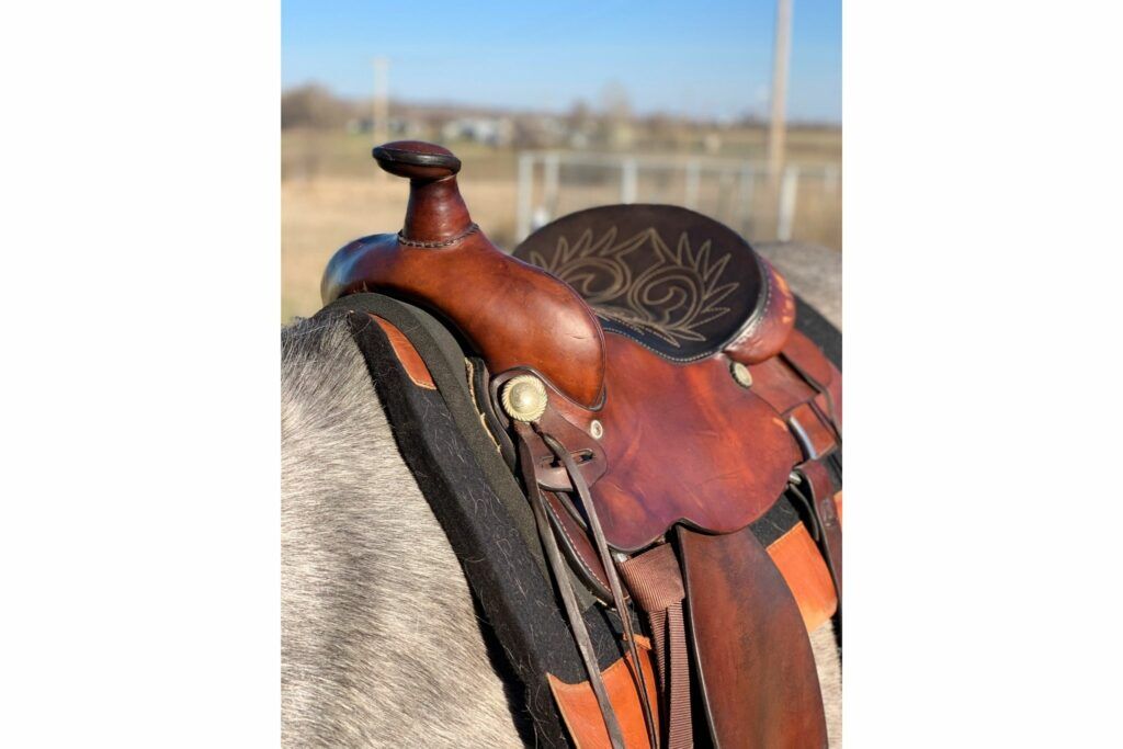 Cushy Tushy: 7 Most Comfortable Trail Saddles - Horse Rookie