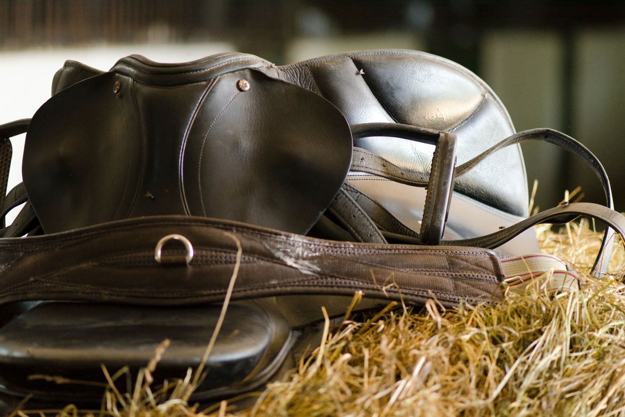 6 Best All-Purpose English Saddles for Do-It-All Riders - Horse Rookie
