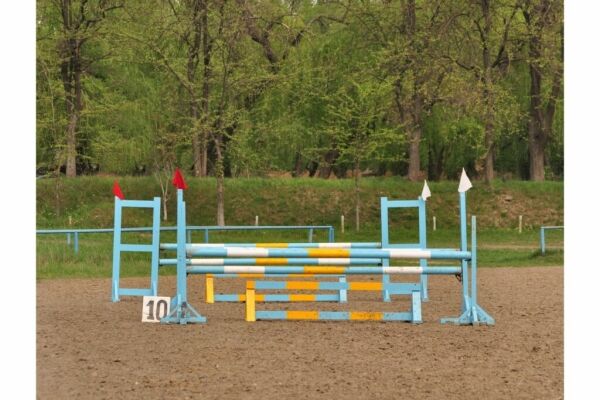 How to Walk (And Ride!) a Bounce Jump for Beginners - Horse Rookie