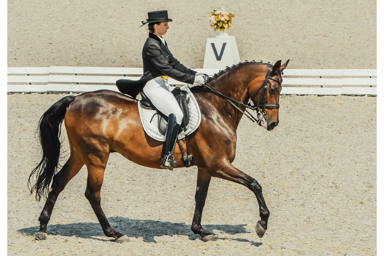 3-Day Eventing: Learn the Lingo - Horse Rookie