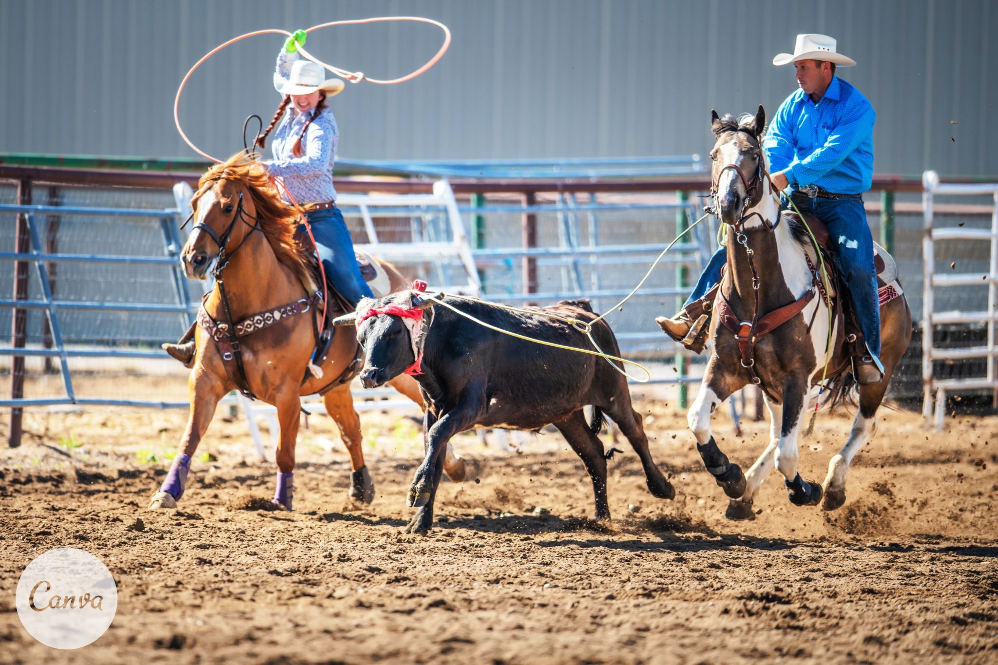 Hock Injections 101: How Your Horse Might Benefit - Horse Rookie