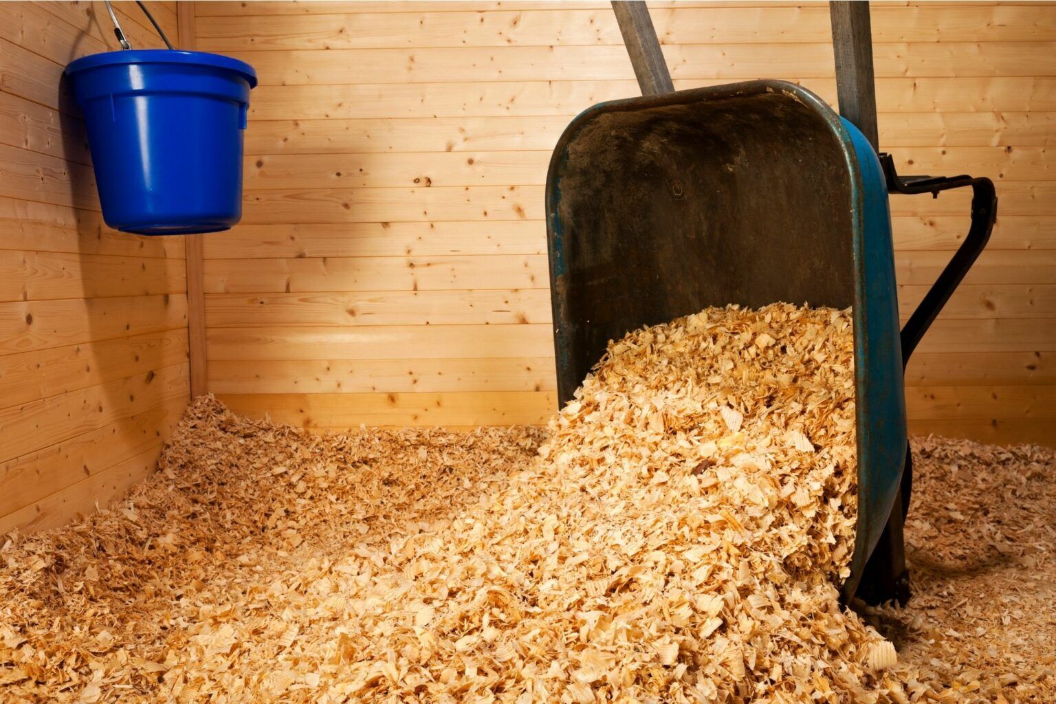 Horse Stall Shavings—How Much Do I Need? - Horse Rookie