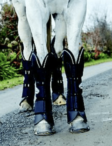 6 Best Shipping Boots for Horses on the Move - Horse Rookie