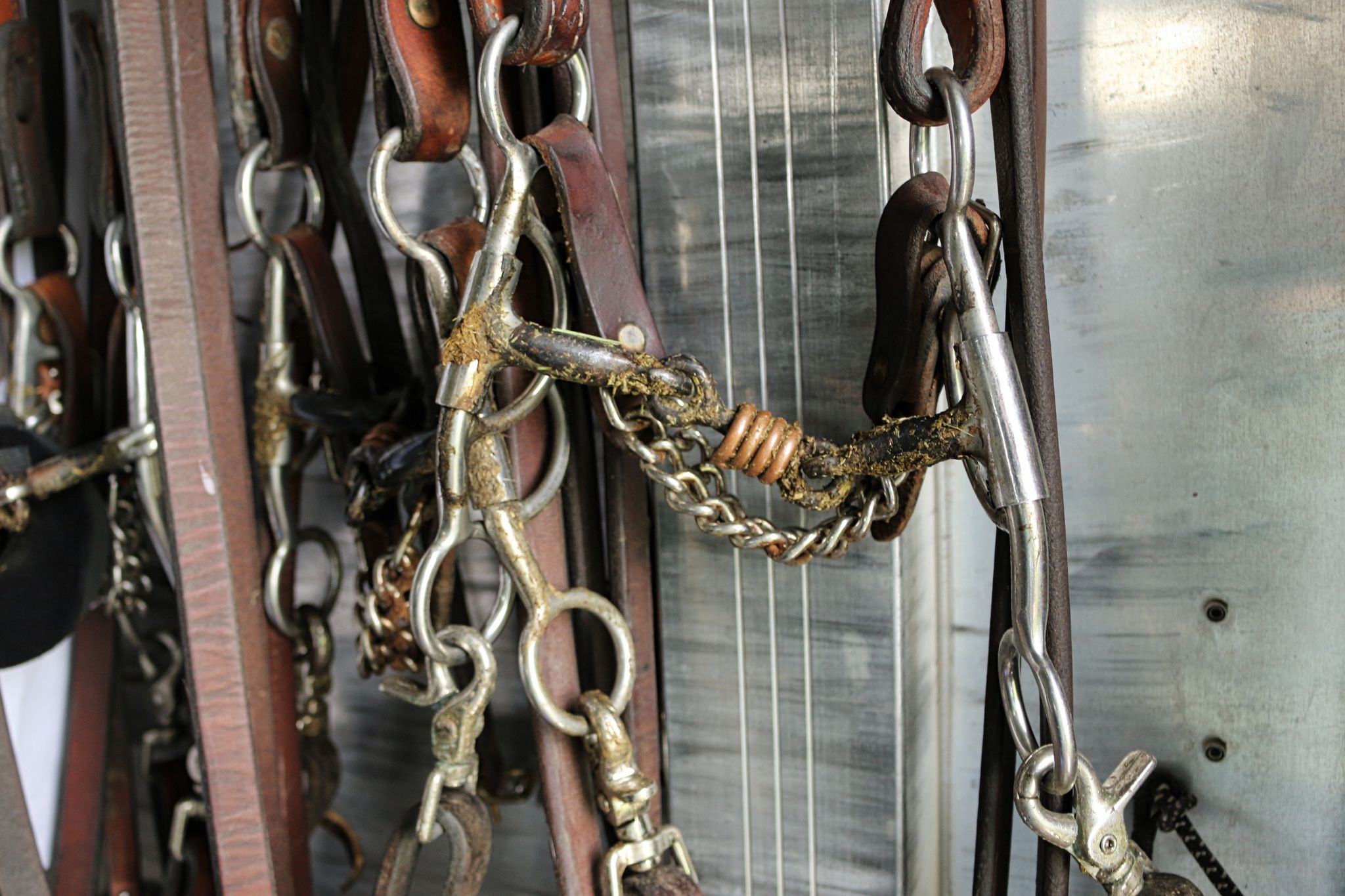 6 Best Bits with Rollers to Help Busy-Brain Horses Relax - Horse Rookie