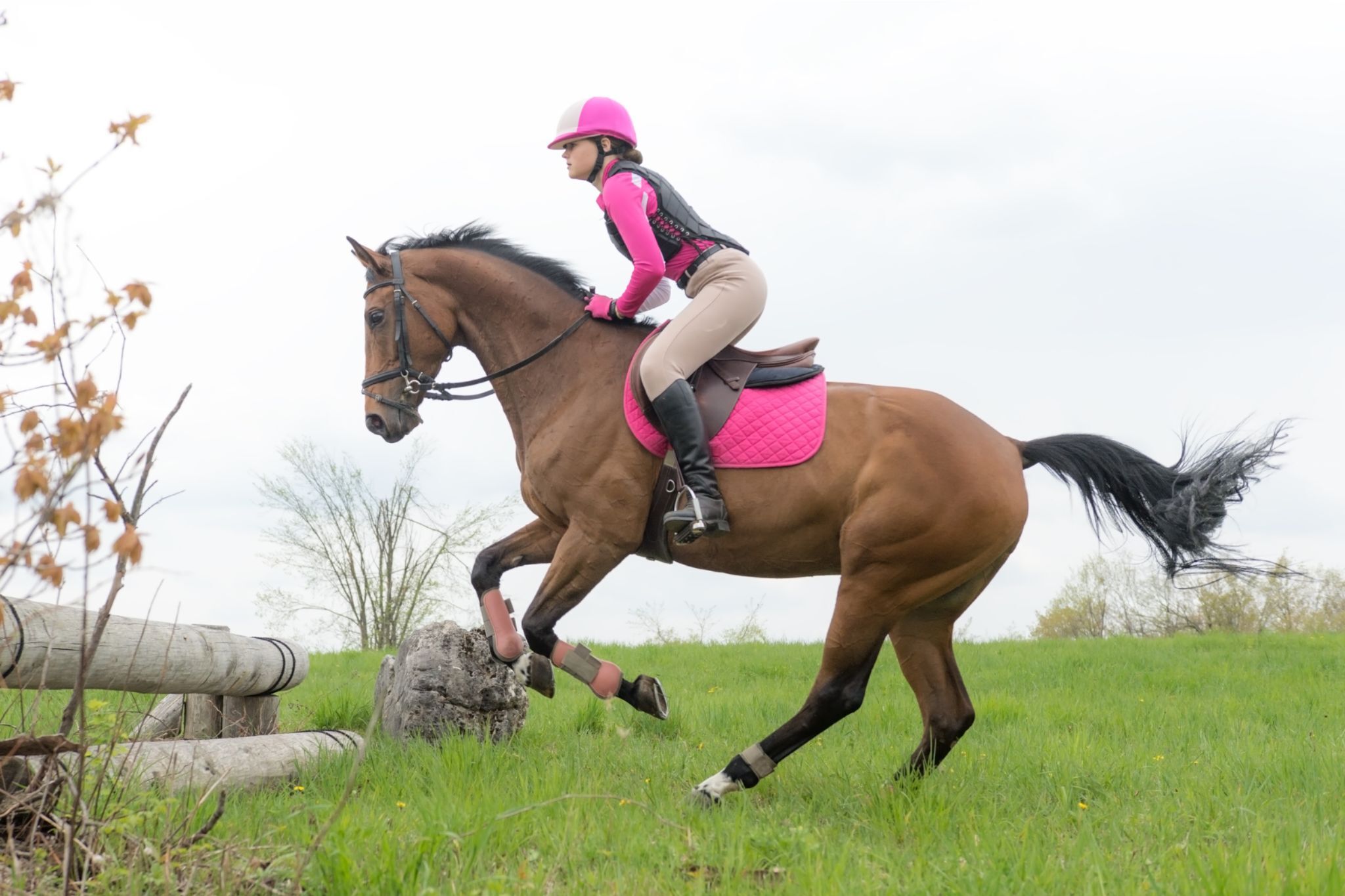6 Best Horse Riding Back Braces, Protectors & Posture Correctors ...