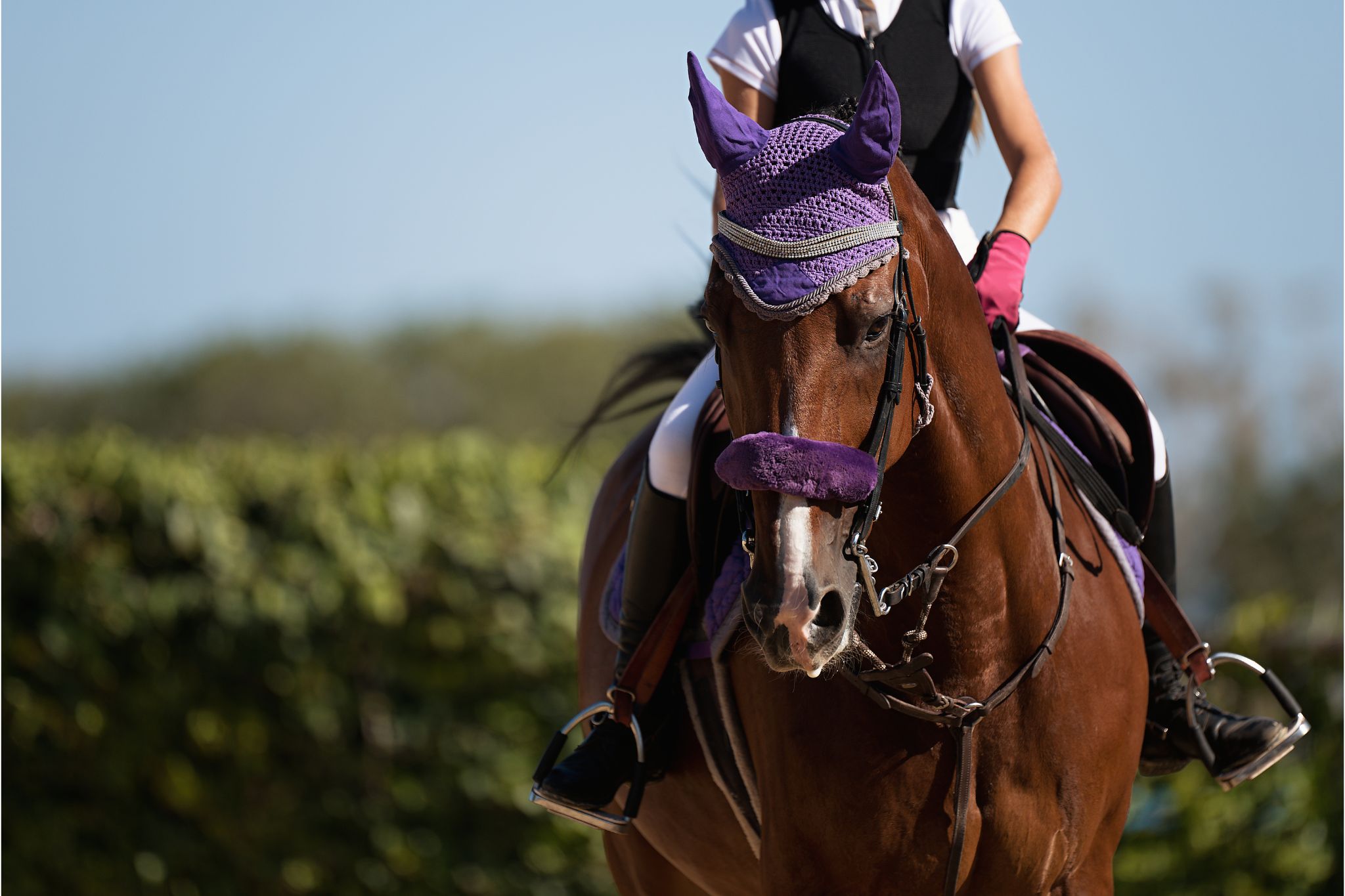6 Best Horse Riding Back Braces, Protectors & Posture Correctors ...