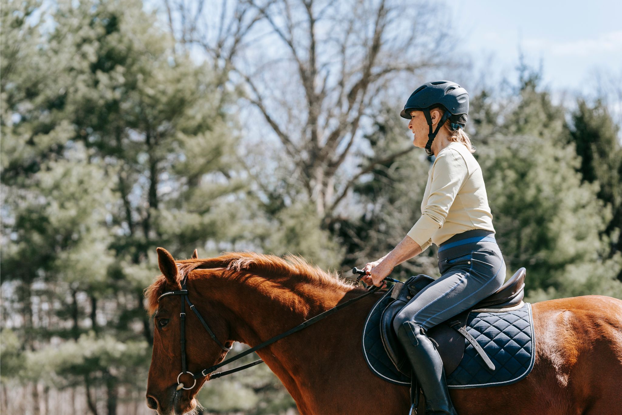 Win the Cool Down: Hot Weather Horse Riding Essentials - Horse Rookie