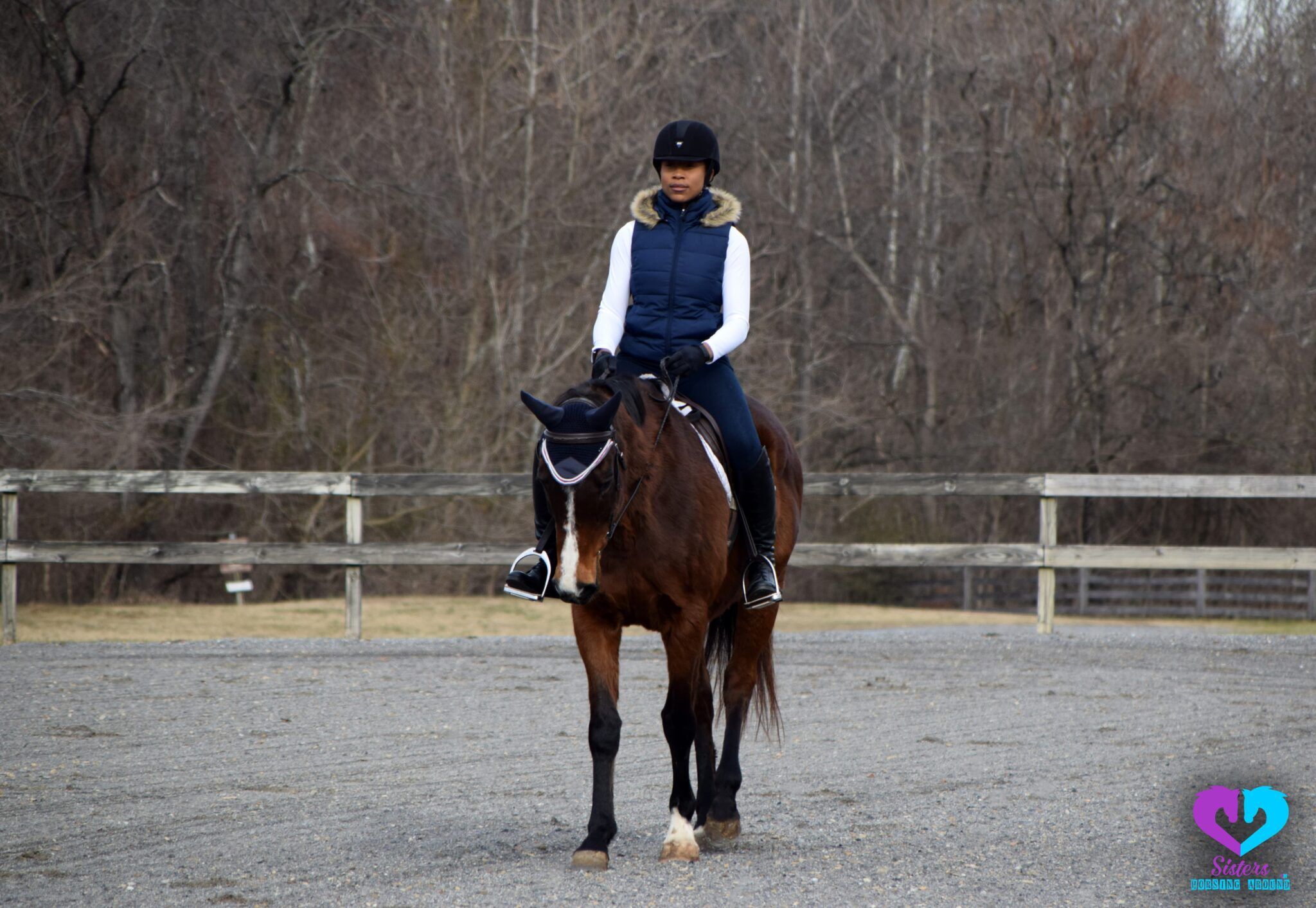 Top 5 Safest Horse Riding Helmets on the Market - Horse Rookie