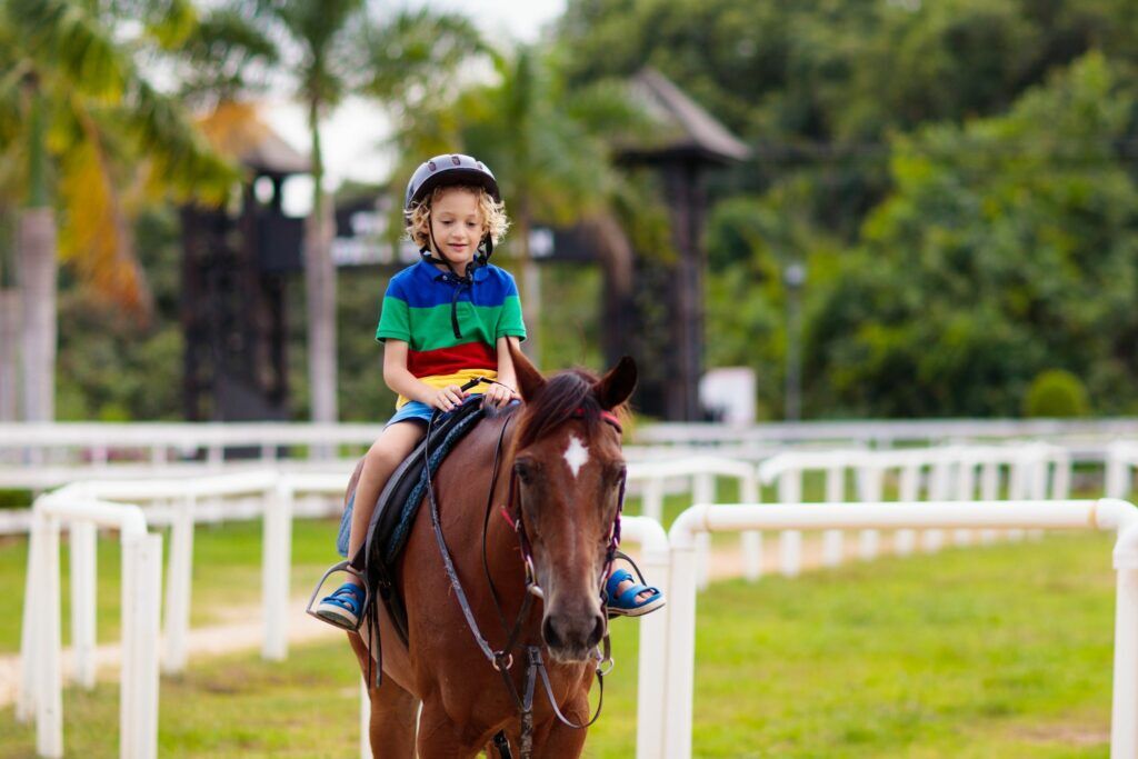 Top 5 Safest Horse Riding Helmets on the Market - Horse Rookie