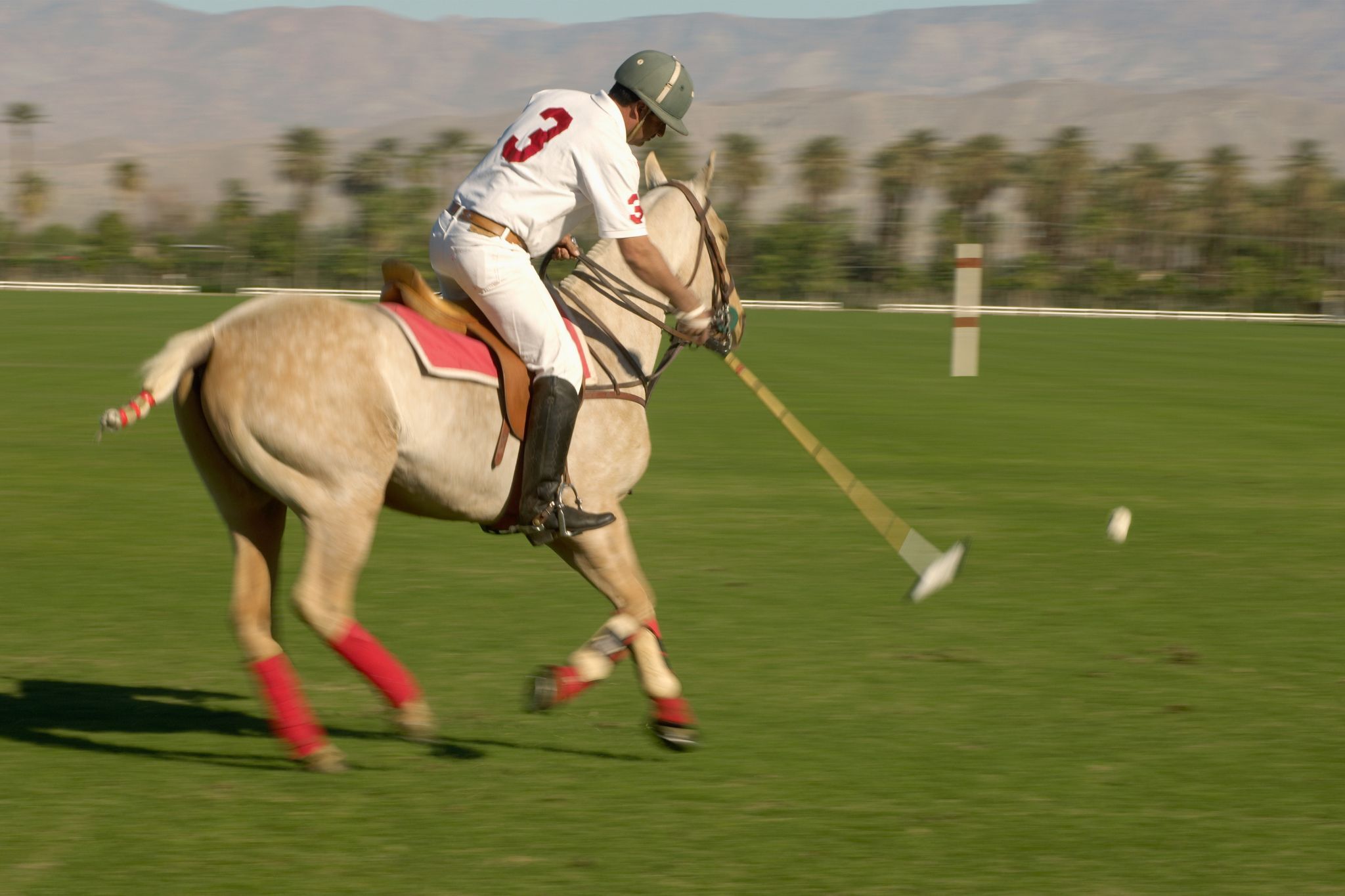 Horse Polo Terminology: Talk the Talk of this Fast-Paced Sport - Horse ...