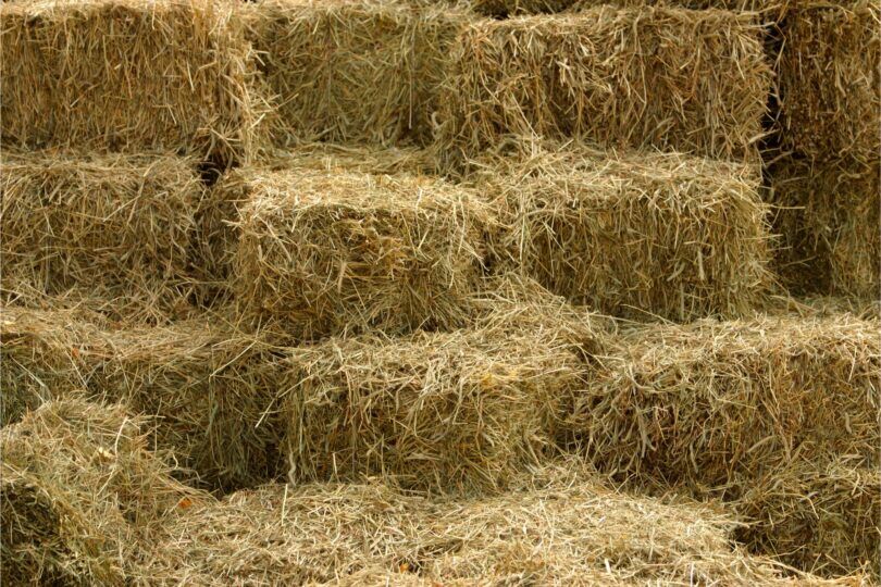 Stability & Safety: How to Stack and Store Hay Bales - Horse Rookie