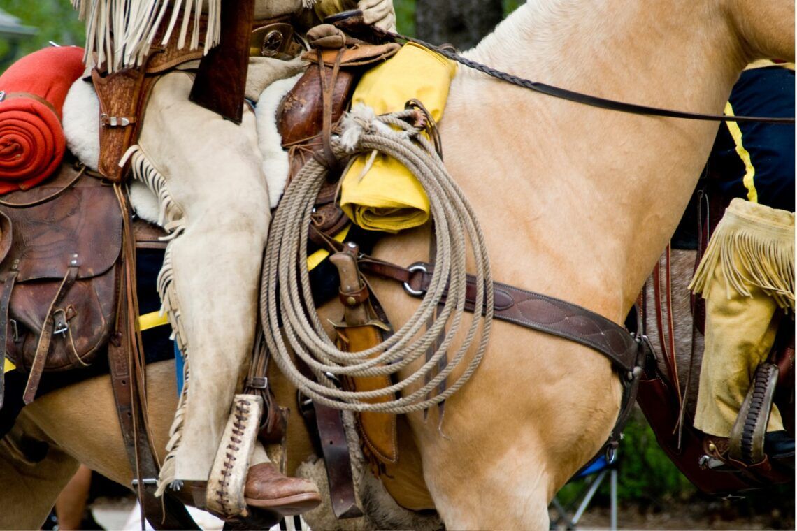 Chaps vs. Chinks: What's the Difference? - Horse Rookie