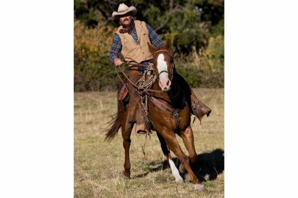 Chaps vs. Chinks: What's the Difference? - Horse Rookie