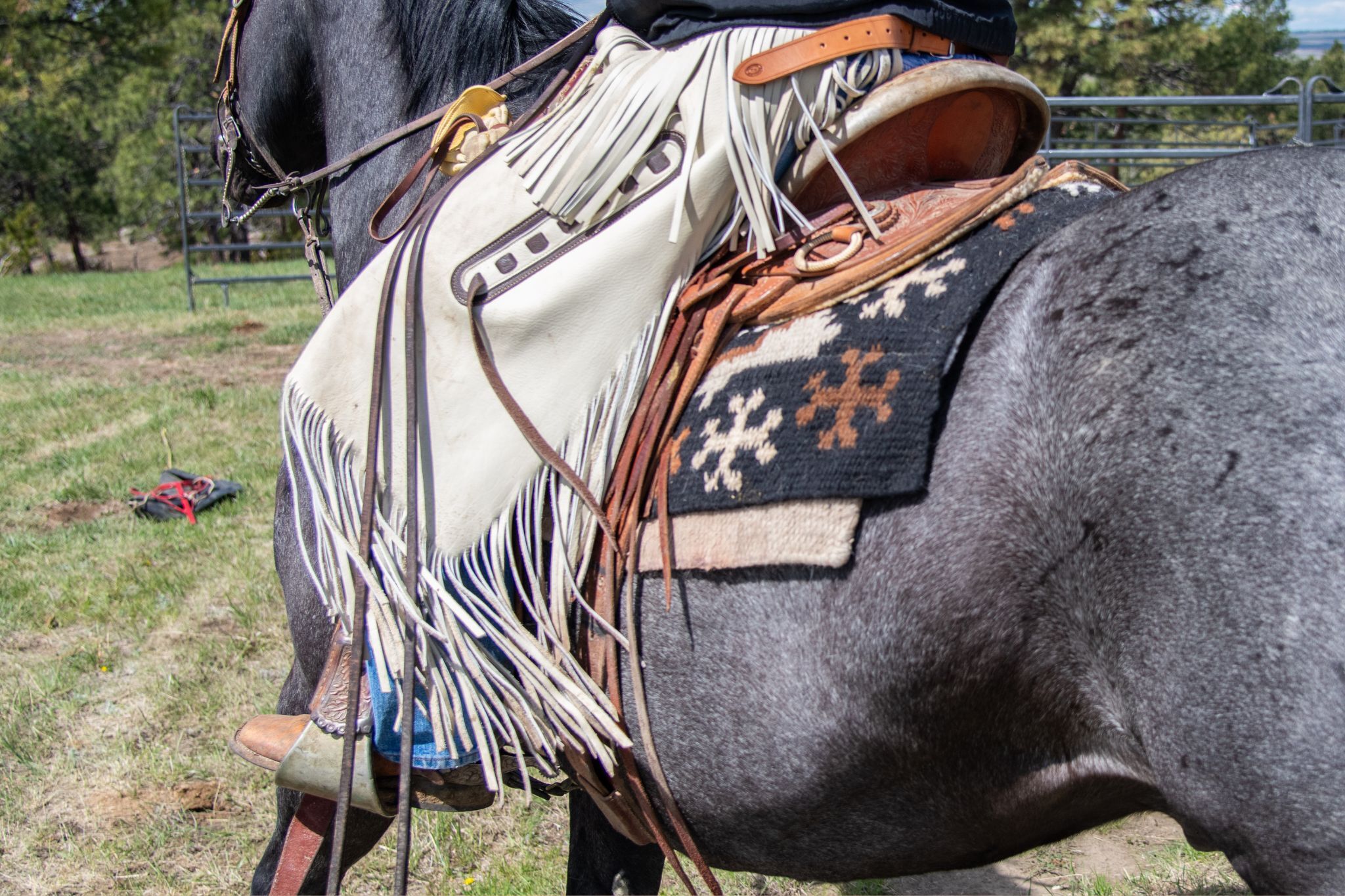 Chaps vs. Chinks: What's the Difference? - Horse Rookie