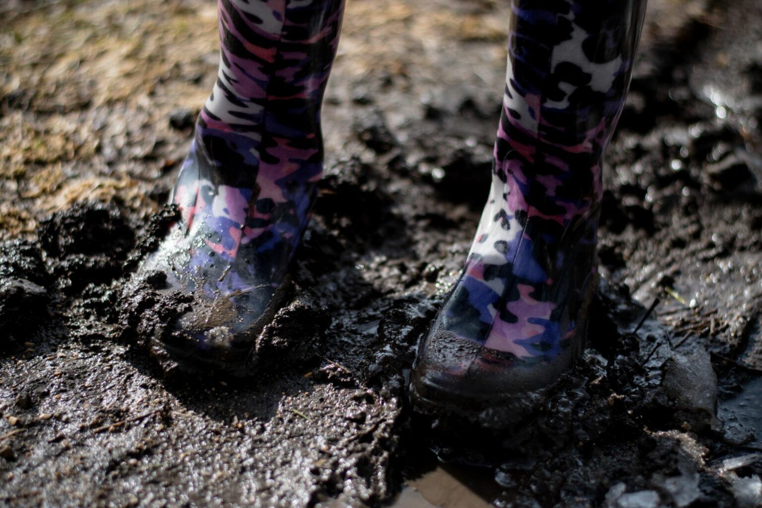 4 Tried & True Methods to Beat Muddy Horse Paddocks - Horse Rookie