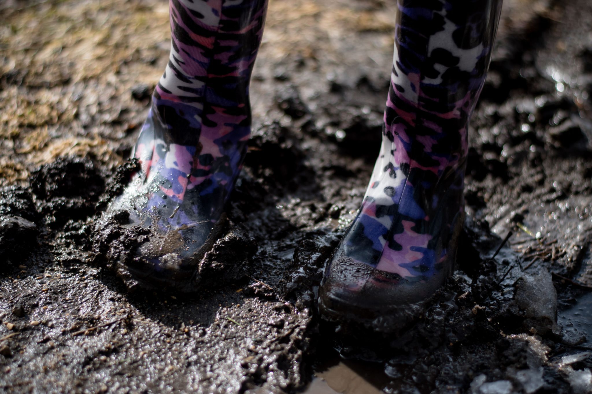 4 Tried & True Methods to Beat Muddy Horse Paddocks - Horse Rookie