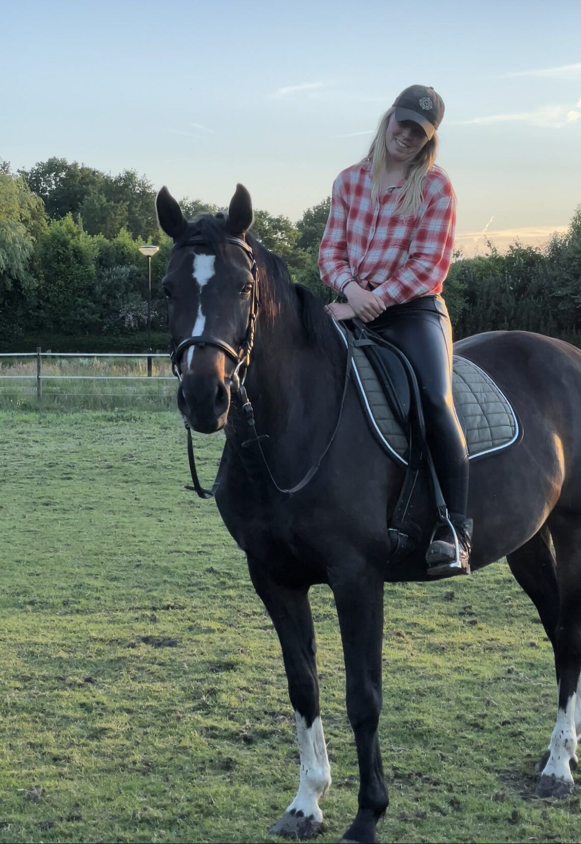 Mission Possible: Teaching Your Horse to Trail Ride Alone - Horse Rookie