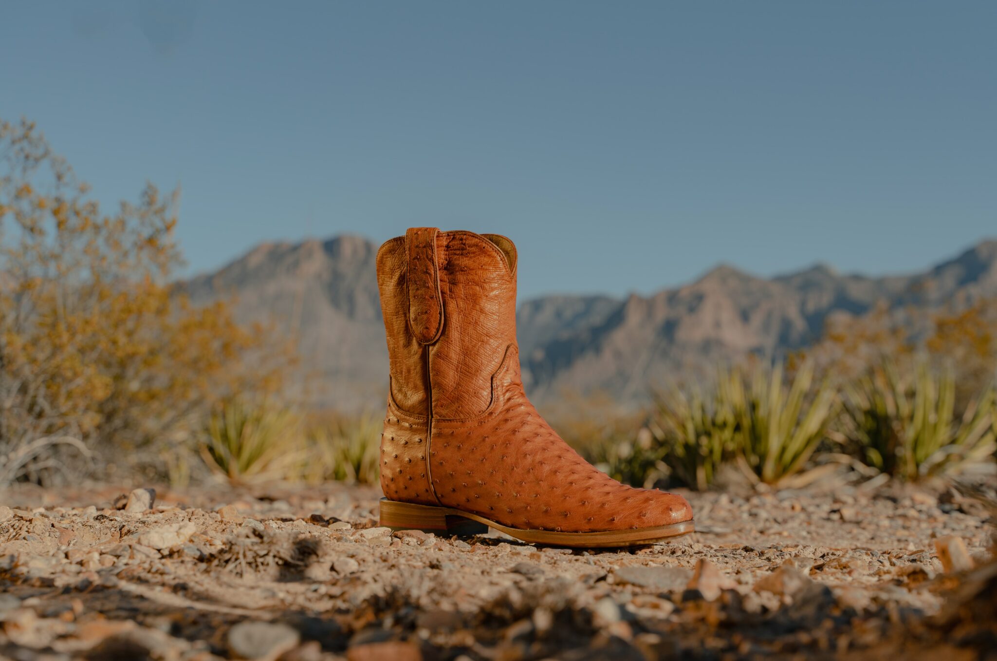 5 Most Comfortable Boots for Ostrich Leather Aficionados - Horse Rookie