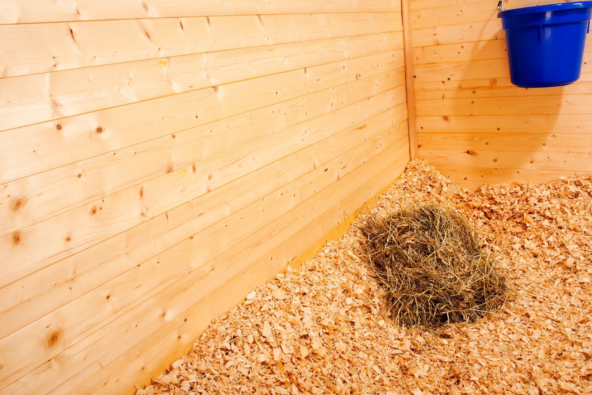Stall Flooring for Homebody Horses (Base, Mats, Bedding) - Horse Rookie
