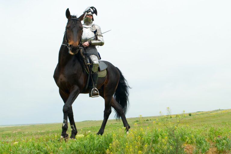 Jousting Giants: What kind of horses did knights ride? - Horse Rookie