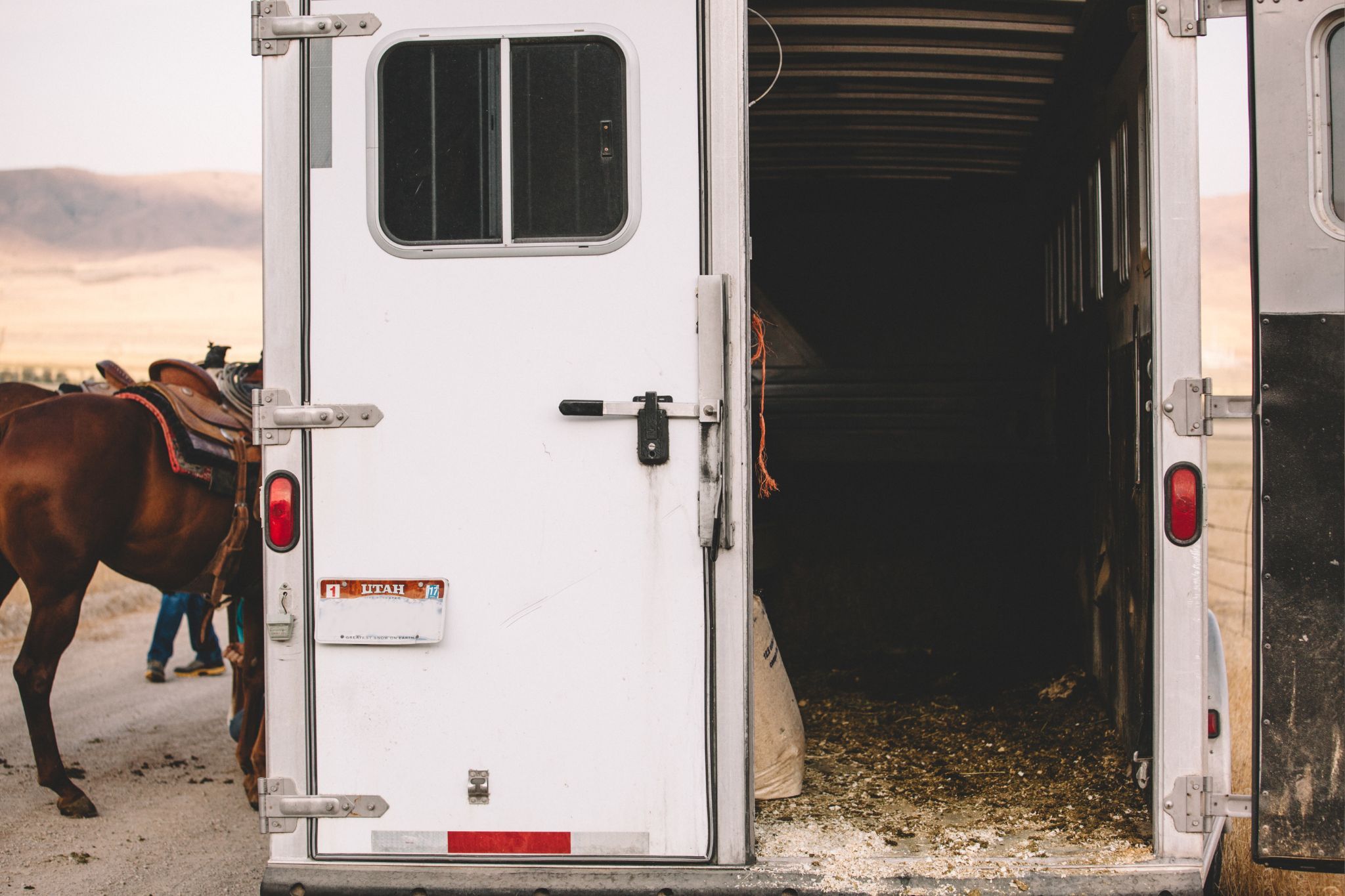 20+ Horse Technology Essentials That Make Life Easier - Horse Rookie