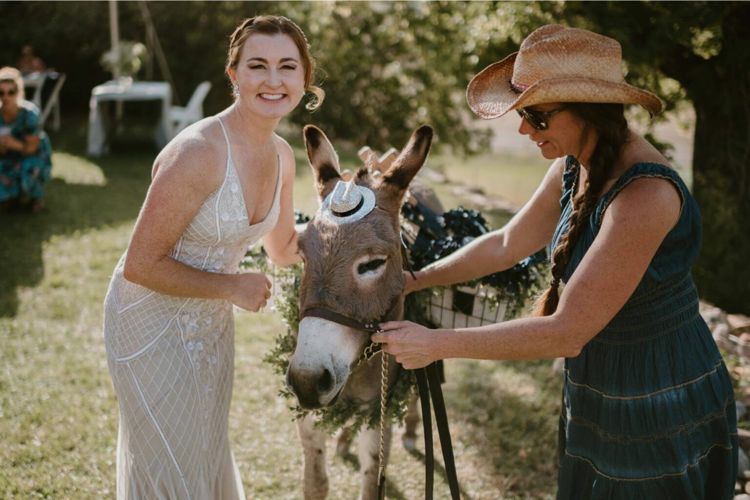 8 Stellar Beverage Burro Companies (Weddings & More) - Horse Rookie