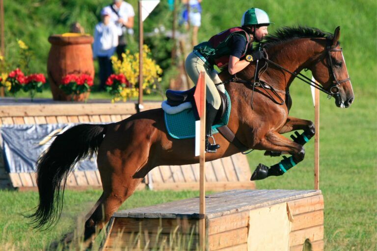 4 Best Eventing Watches for Cross-Country Countdowns - Horse Rookie