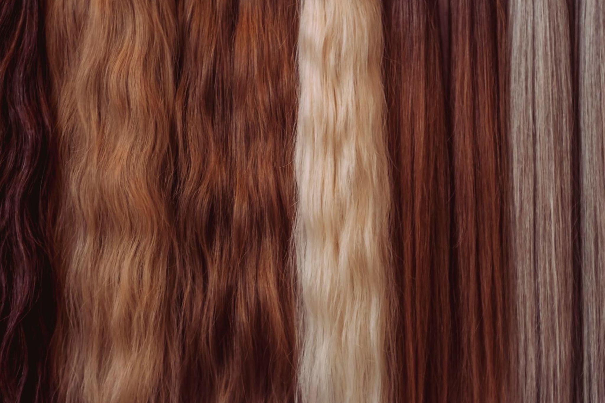 Hair Extensions for Horses: How to Put in a Fake Tail - Horse Rookie
