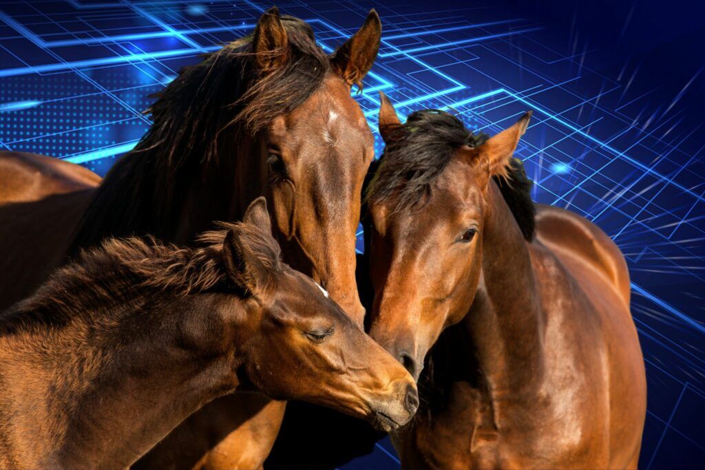 11 High-Tech Equine Wearables to Revolutionize Your Ride - Horse Rookie