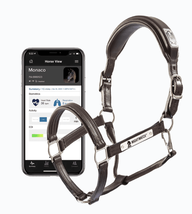 11 High-Tech Equine Wearables to Revolutionize Your Ride - Horse Rookie