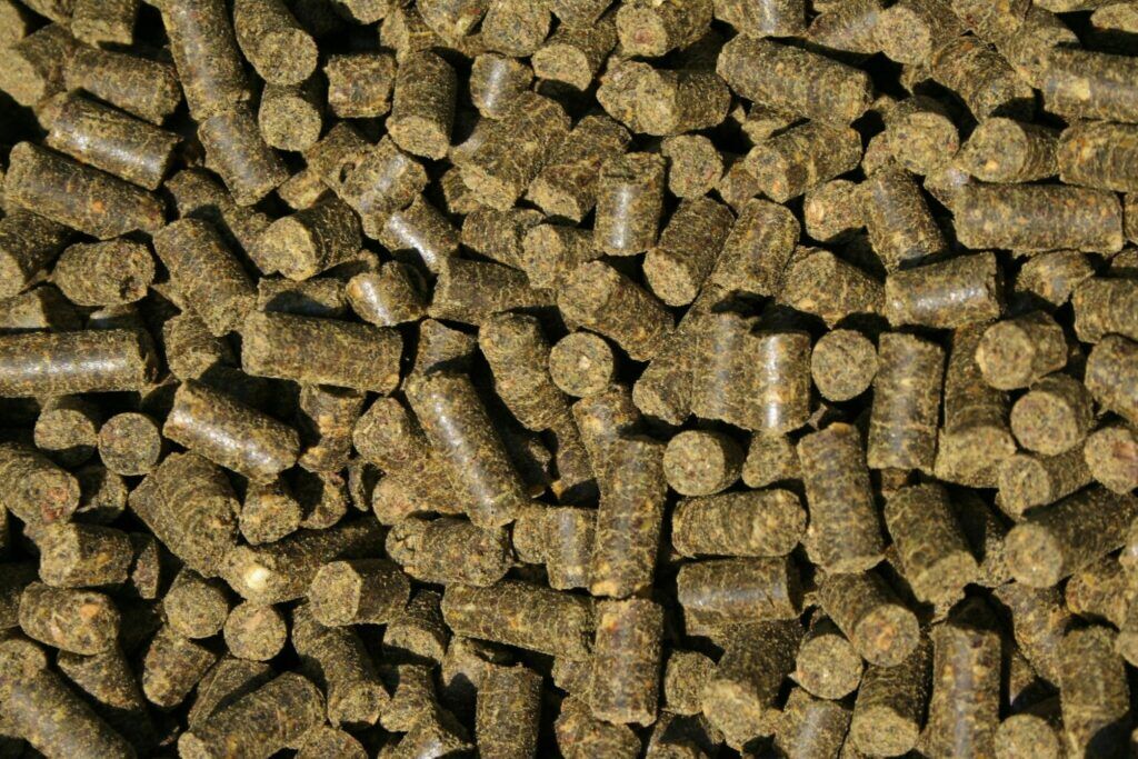 Alfalfa Cubes vs. Pellets: What's Best for Your Horse? - Horse Rookie