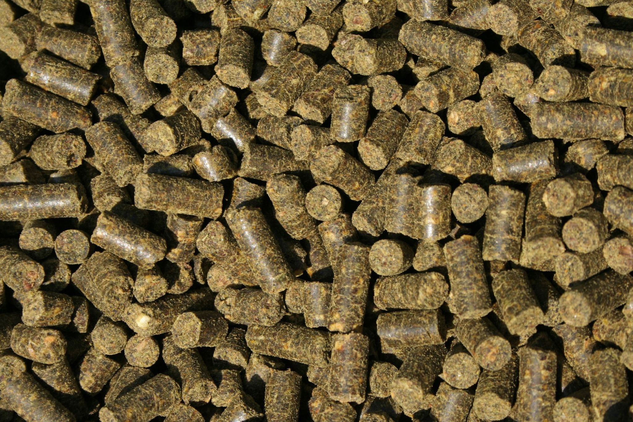 Alfalfa Cubes vs. Pellets: What's Best for Your Horse? - Horse Rookie