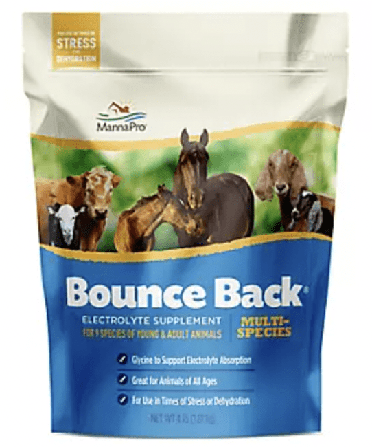 11 Best Electrolytes for Horses That Need to Hydrate - Horse Rookie