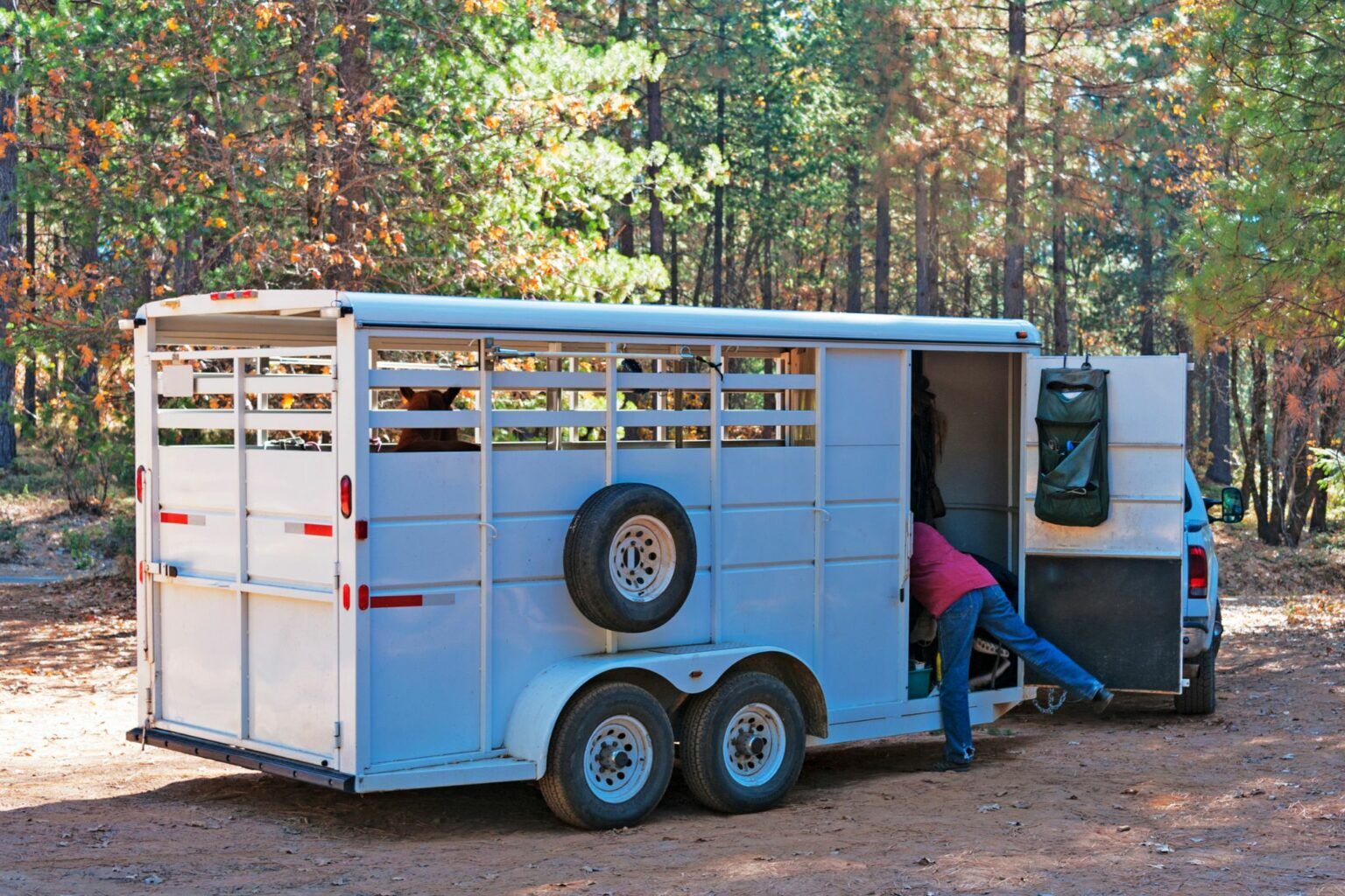 9 Best Horse Trailer Brands That Really Pull Their Weight - Horse Rookie