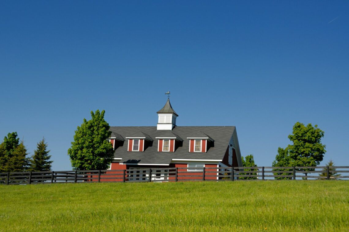 Less is More: How to Keep Horses on Small Acreage - Horse Rookie