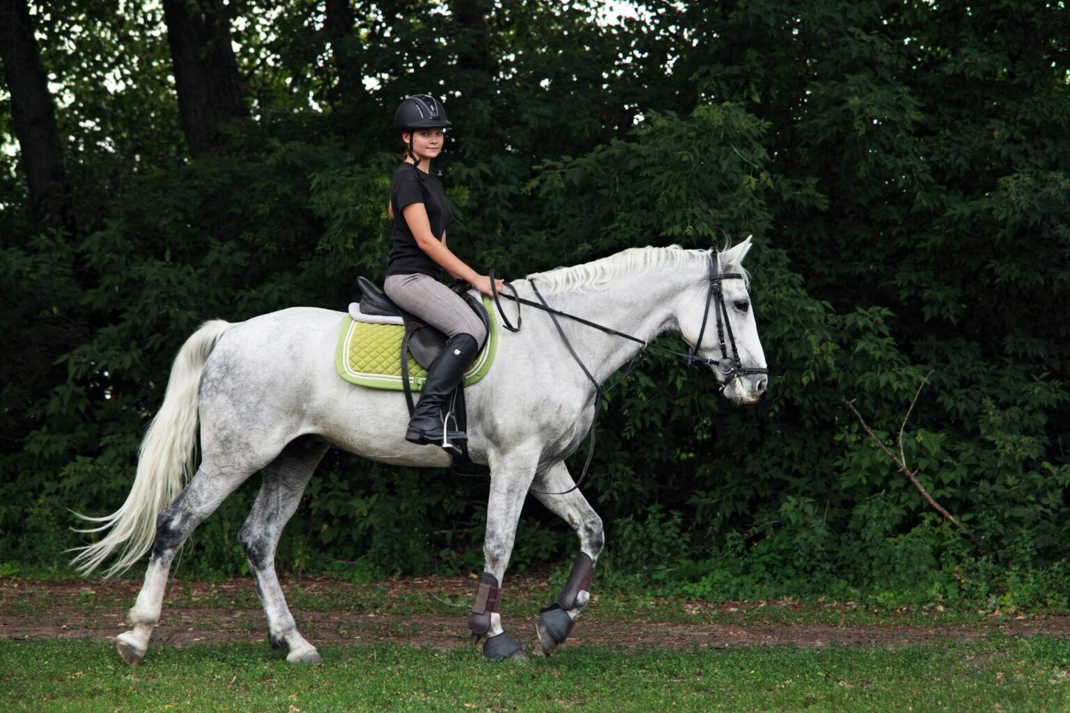 GPS for Rookies: Tracking Miles on Horseback - Horse Rookie