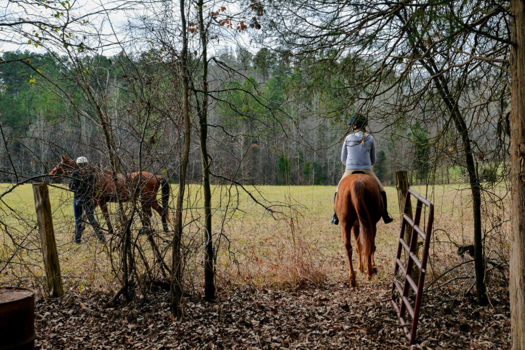 GPS for Rookies: Tracking Miles on Horseback - Horse Rookie