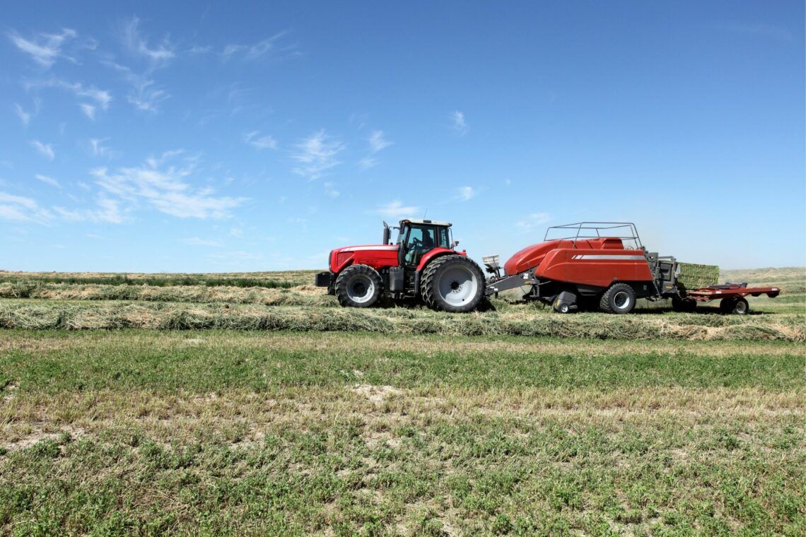 Hay Bale Facts and Figures (Sizes, Types, Costs) - Horse Rookie